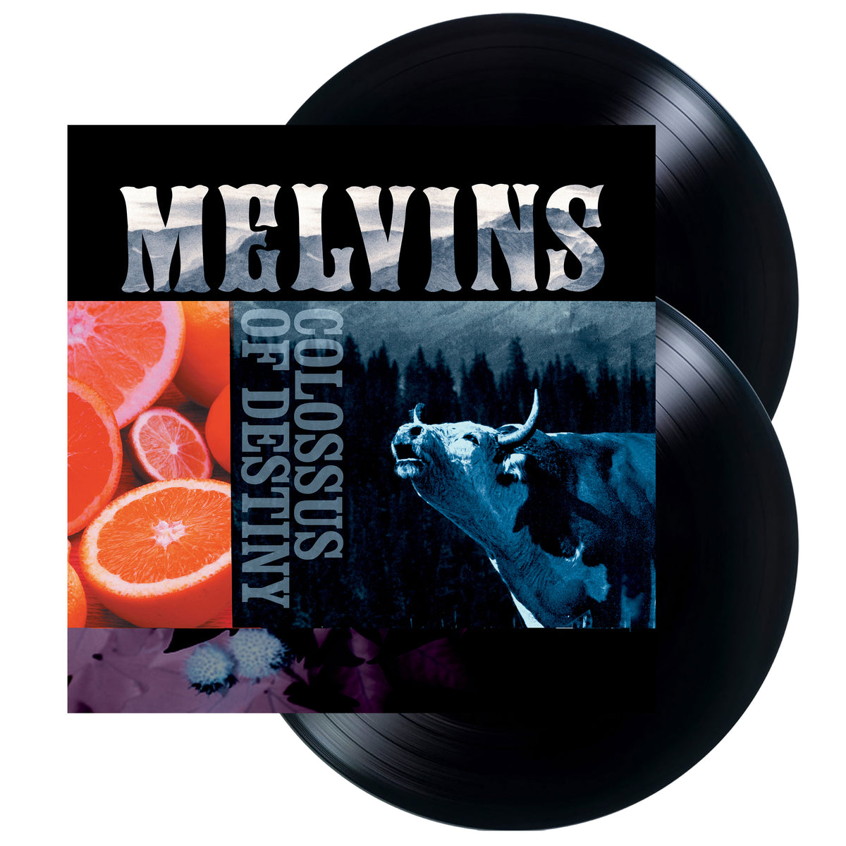 Melvins – Blixt Merchandise